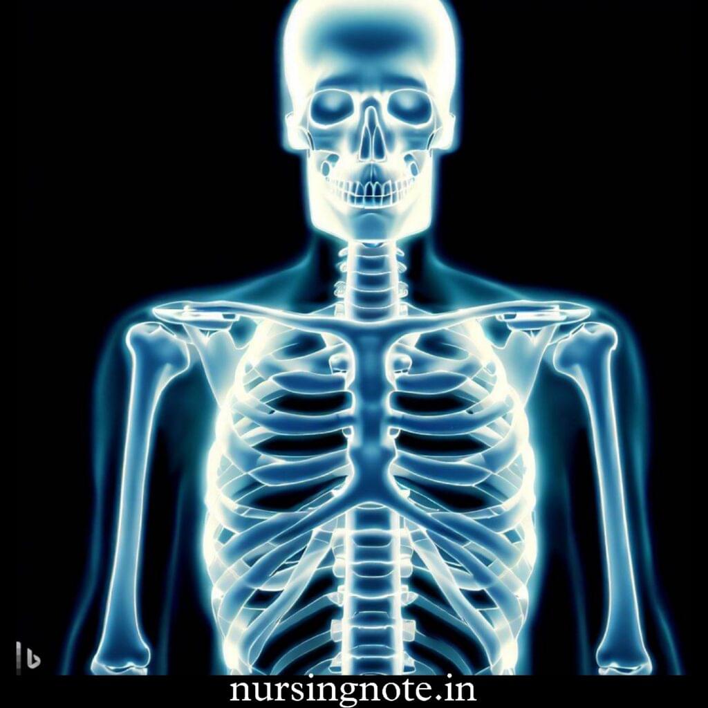 Fetal Skull: Sutures of Fetal Skull, Fontanels and Diameter of Fetal ...