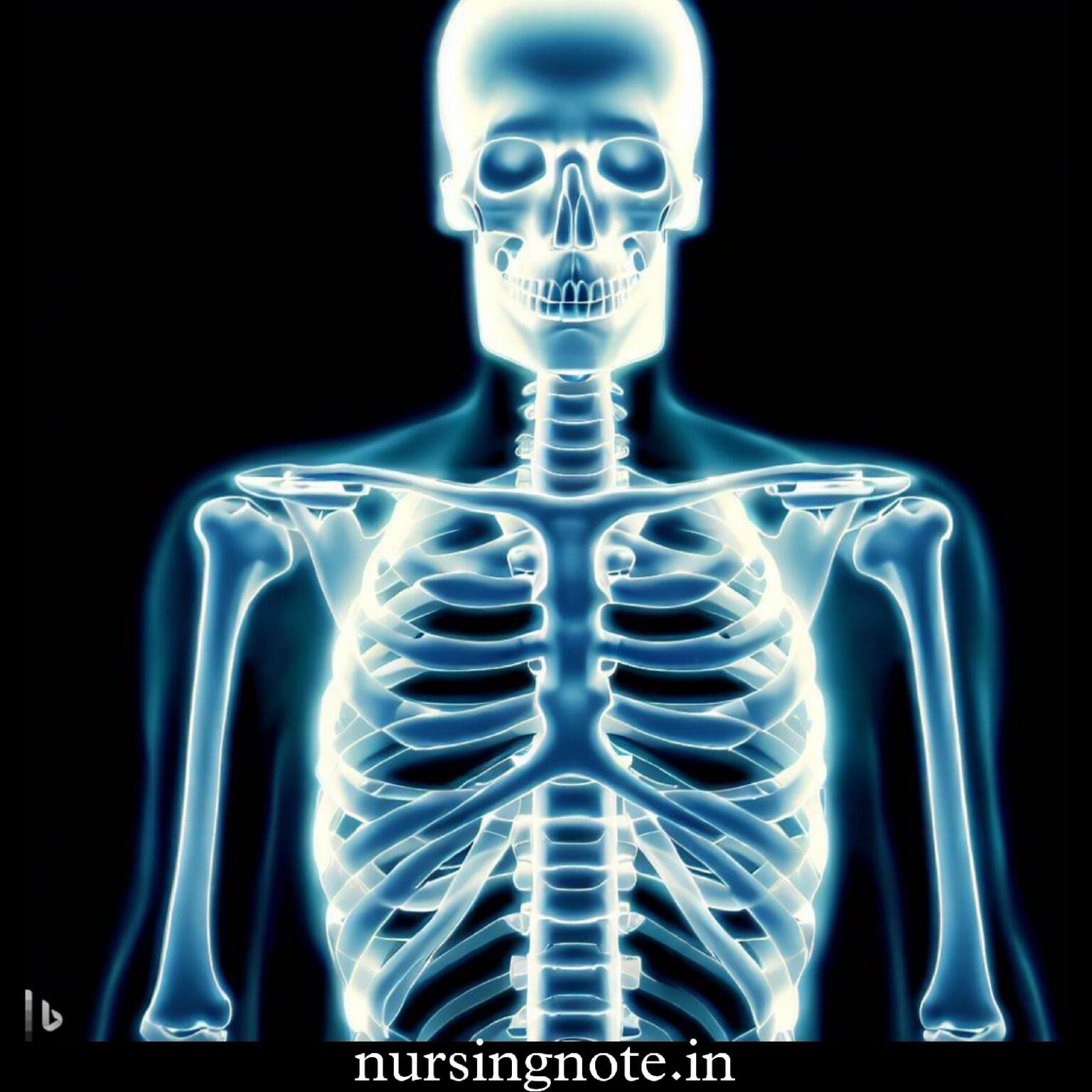 Fetal Skull: Sutures of Fetal Skull, Fontanels and Diameter of Fetal ...